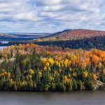 MINNESOTA: Strong and Diverse